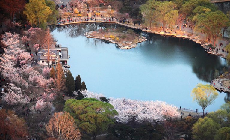 Springtime in China: The Enchanting Natural Beauty Spots to Visit ...