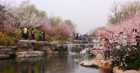 Springtime in China: The Enchanting Natural Beauty Spots to Visit ...